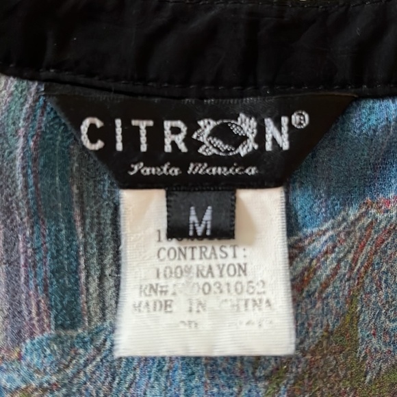 Citron | Tops | Citron Santa Monica Semisheer Silk Blouse | Poshmark
